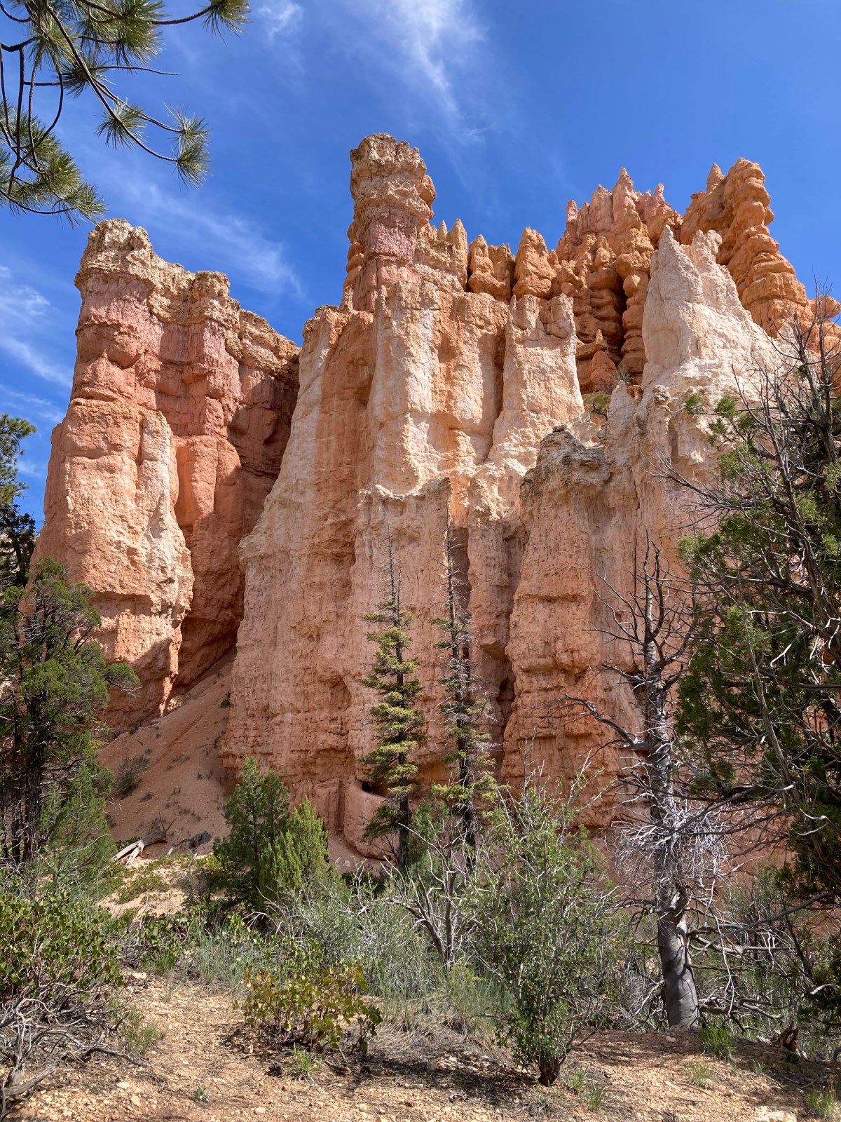 Learning how to paint (red rock) - Alli Harvey Art